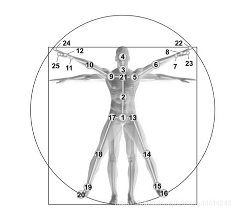 Python深度学习进阶之行为检测详细学习路线（主要实现人员的行为类别、空间定位、时间定位）基于深度学习的行为识别流程 Csdn博客