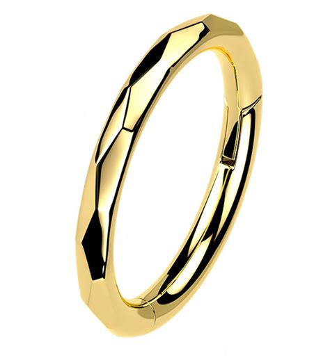 Gold Pvd Angled Titanium Hinged Segment Ring