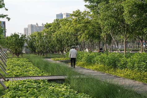 Sasaki Landscape Architecture Platform Landezine