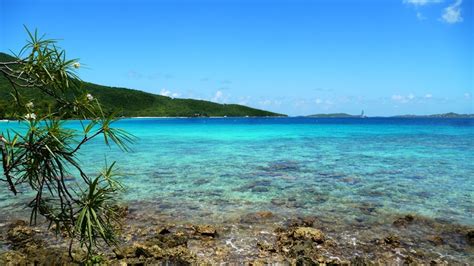 Caneel Bay In St John Us Virgin Islands Caneel Bay Resort Caneel