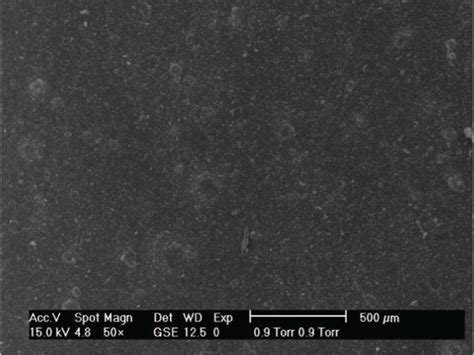 Sem Micrographs Of The Surface Left Column 50x And Internal Download Scientific Diagram