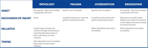 Week 1 Lecture Flashcards Quizlet