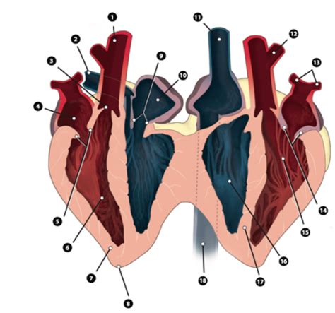 Solved 12 13 10 14 15 16 18 10 11 12 1 2 3 4 5 6 Chegg Com