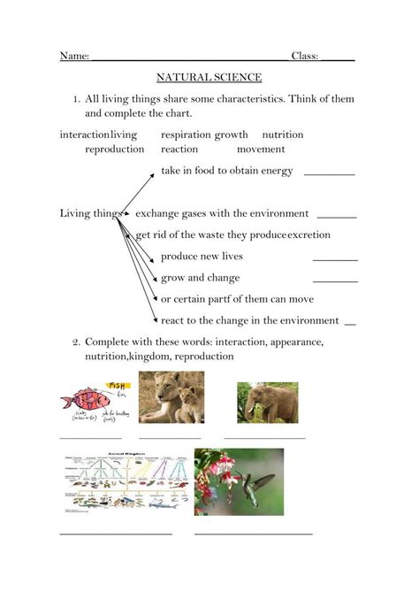 Tema Classification Of Living Things Online Exercise For 58 Off
