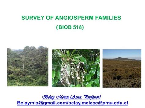 Engler And Prantl System Of Classification Ppsx
