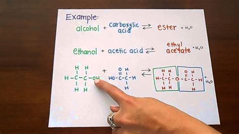 Ester Examples