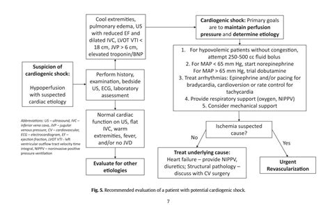 Cardiogenic Shock Diagnostic Algorithm Suspicion Grepmed