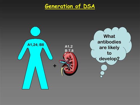 Ppt Structurally Based Hla Matching A Useful Tool To Fill The Gaps In Current Hla Matching