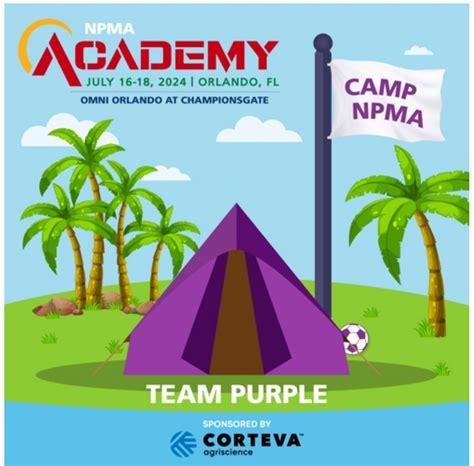 Haider Ibrahim On Linkedin Npmaacademy