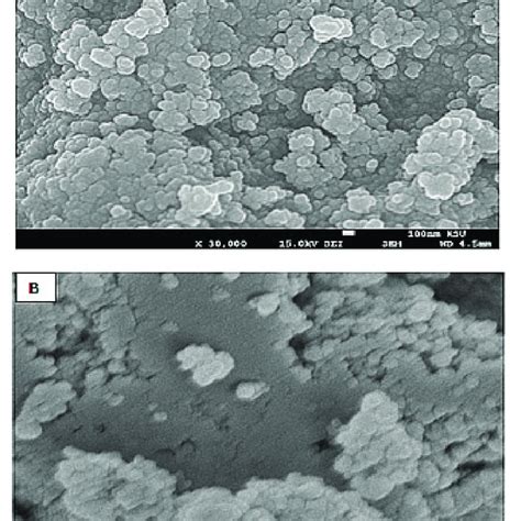 Showing Sem Pictures Of Silver Nanoparticles Embedded With Curcumin At Download Scientific