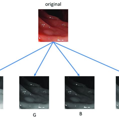 The 40 Gaussian Filters In The Gabor Filter Download Scientific Diagram