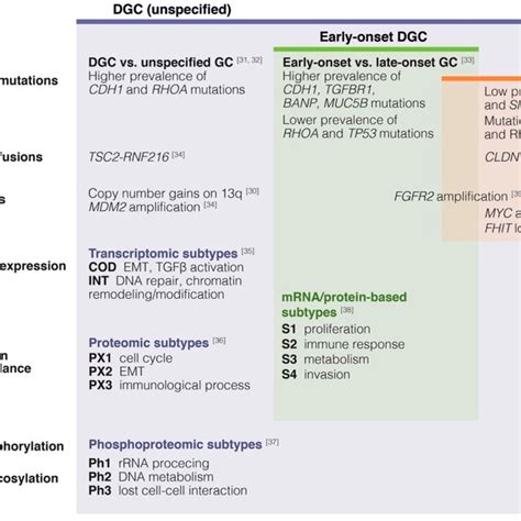 Genomic Transcriptomic And Proteomic Alterations Of Diffuse Type Download Scientific Diagram