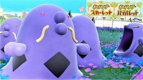 【可愛い】マルノーム6匹に囲まれて癒されピクニック【ポケモンsv】 Youtube