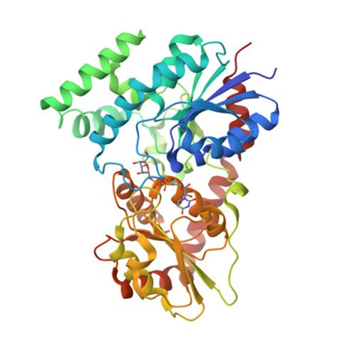 Rcsb Pdb 7xx4 Designed Glycosyltransferase