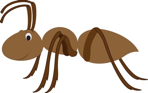 900 Free Ant Clipart Images
