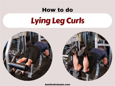 Lying Leg Curls Legs Exercise Aestheticbeats