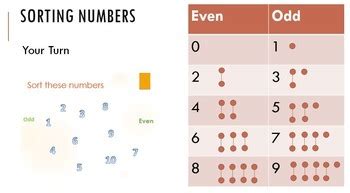 Labeling Classifying Describing Sorting Fun 3 Computer Technology Lessons