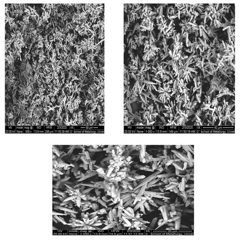 FE SEM images for the synthesized β cobalt oxalate Download Scientific Diagram