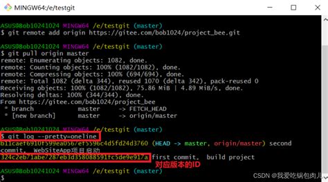 使用git 获取指定的历史版本代码，并拉取下来git拉取指定版本的代码 Csdn博客