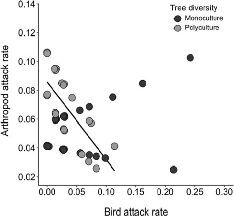 Relationship Between Bird Predation And Arthropod Predation Proportion