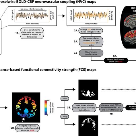 Computation Of Bold Cbf Coupling And Distance Based Functional