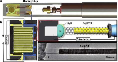 A Scheme Showing The Setup Of The Solid Cell Implemented With A MEMS Download Scientific
