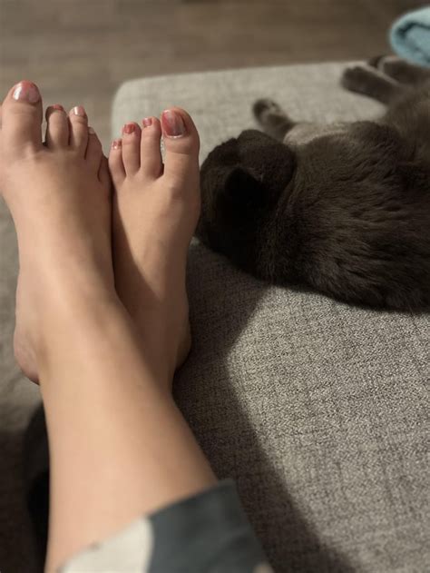 Even My Adorable Kitty Cat 🐈‍⬛ Can Get Closer To Feet As You 😂 Toes