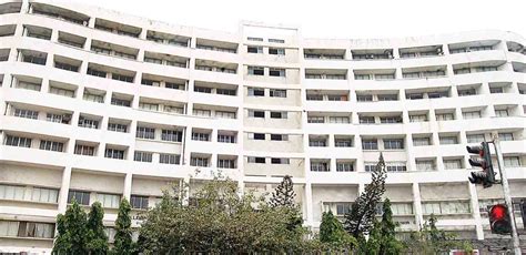 Mithibai College Entrance Admission Cources 2025