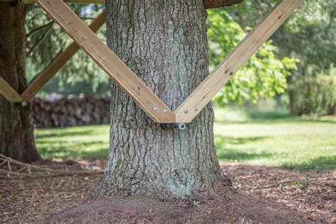 Can A Treehouse Damage A Tree Treetop Builders Blog Can A Treehouse