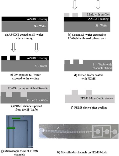 Schematic For Development Of Pdms Microfluidic Devices Fabricated Using