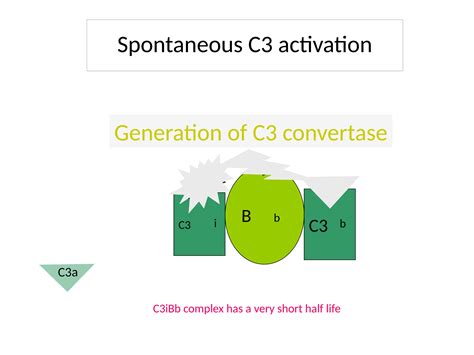 Complement System Activation Of Immune System Ppt