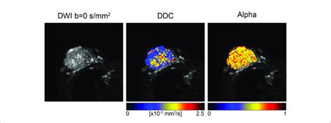 Stretched Exponential Modeling With B Values Of 0 500 1000 1500