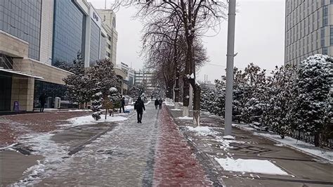 Зима в Ташкенте 17 февраля Youtube