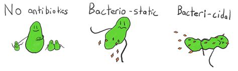 Bactericidal Effect