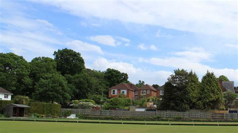 In What Ways Can Trees Be Protected How Should I Deal With Them