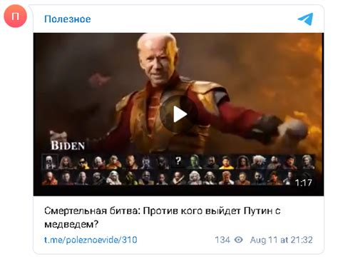 Такой битвы вы ещё не видели Против кого выйдет Путин с медведем Царьград Дзен