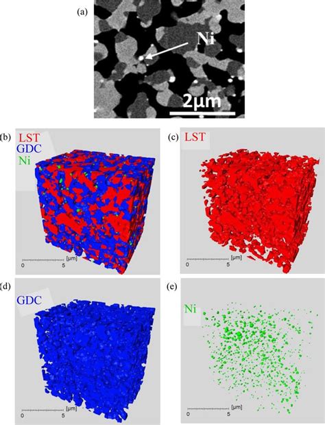 A Fib Sem Micrograph And 3d Reconstructed Fib Sem Micrographs Of A