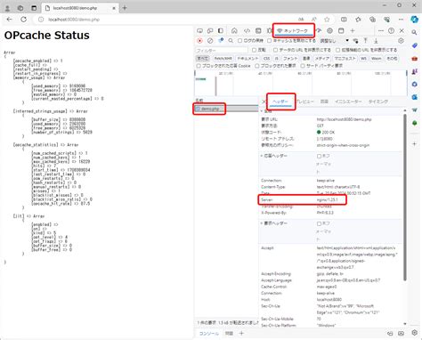 Nginxのバージョンとコンパイルオプションを確認する方法 もふもふのブログ