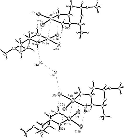 The Crystal Structure Of Complex 3 The Intermolecular N H 2 O H 2 O H