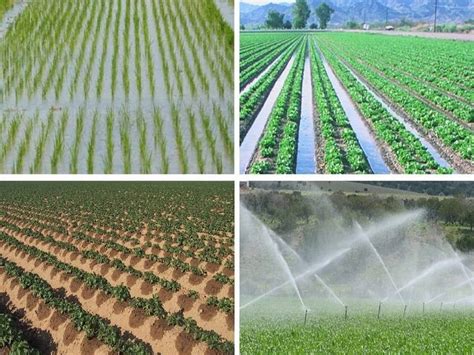 Modern Irrigation System