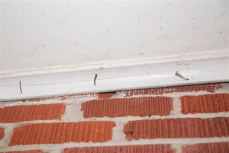 Rusty Nails Presentation Decor Regular Photo Background And Picture For Free Download Pngtree