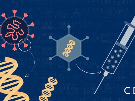 Viral Vector Vaccines What They Are And What They Are Not Cepi