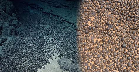 Polymetallic Nodules Batteries In Rocks Geology In