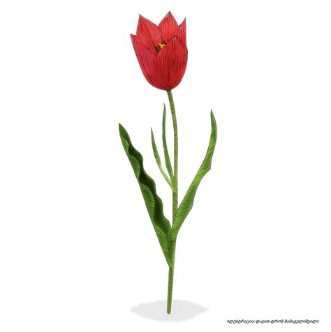 ეიხლერის ტიტა Map