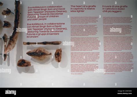 Venice Italy April 18 2024 Installation View Of The Exhibition