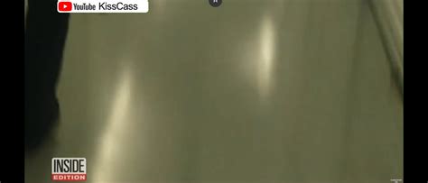 Rat Detection Object Detection Dataset And Pre Trained Model By Quality Control Defect Detection