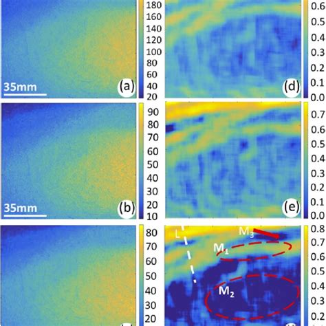 Raw Images A Without Polarizer In Detection Arm B With Polarizer Download Scientific
