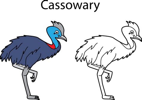 Cartoon Cassowary Vector Images And Graphics For Commercial Use Vectorstock