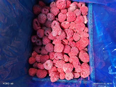 Supply Iqf Frozen Raspberry Factory Quotes Oem