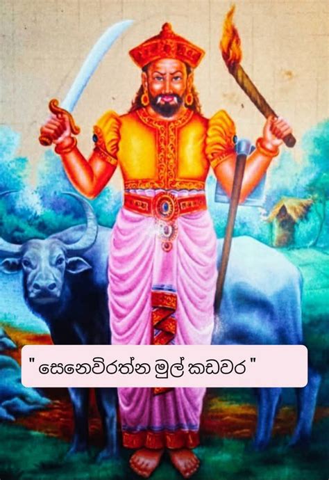 Wishmitha සෙනවිරත්න මුල් කඩවර කියන ශක්තී මාලාව ගැන තොරතුරු කිහිපයක්